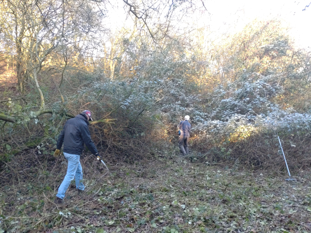 Last Workday Of The Year | Cawston Greenway